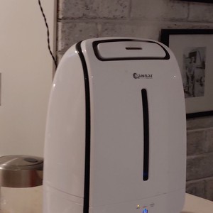 Fans Category - White Noise Market